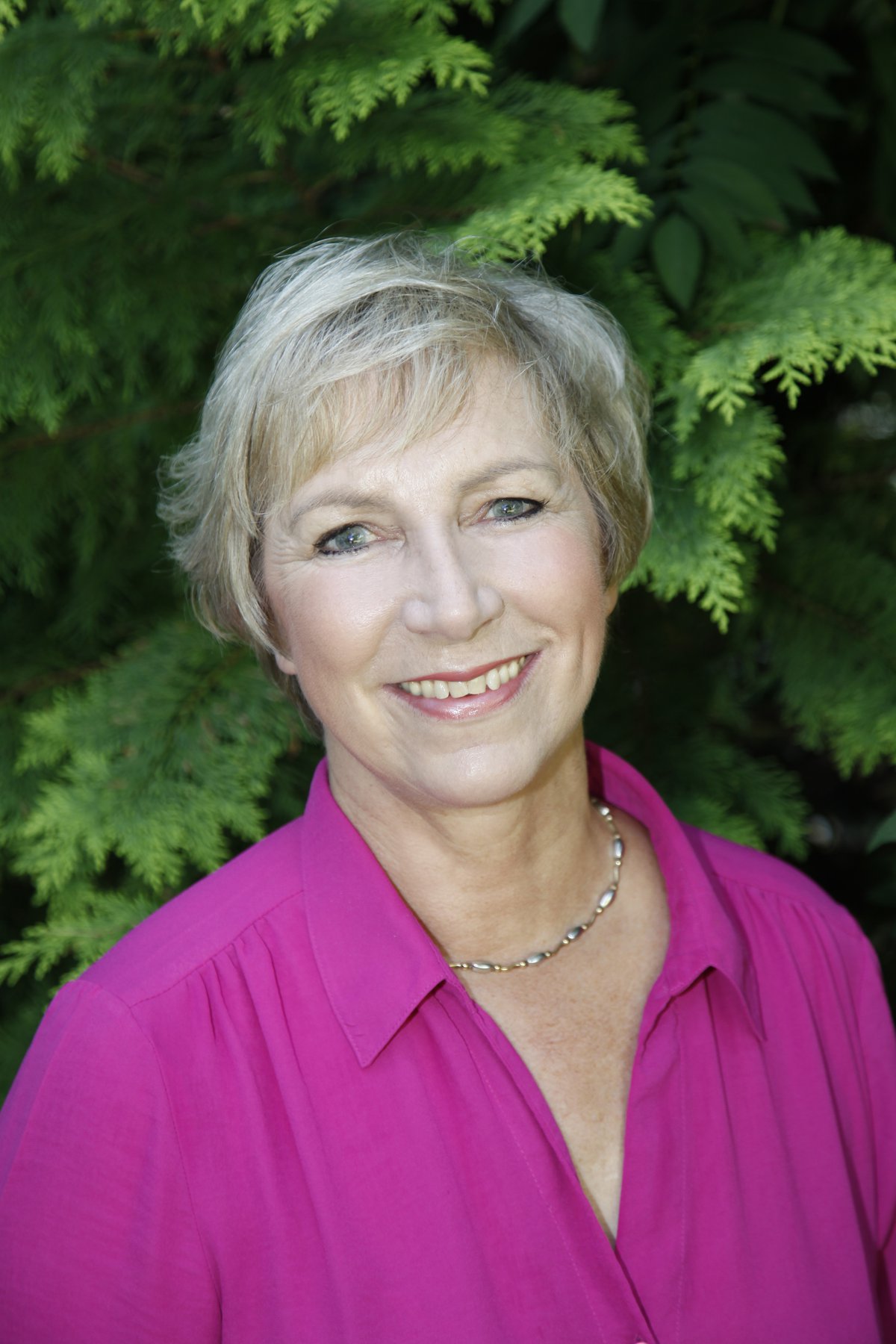 Presidents, Vice Presidents and Ambassadors